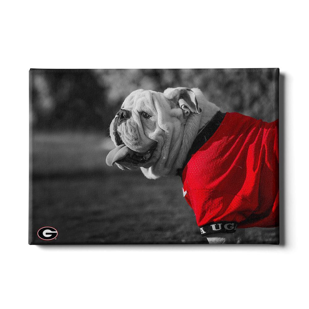 Georgia Bulldogs - Uga Poised - Dawg Wall Art