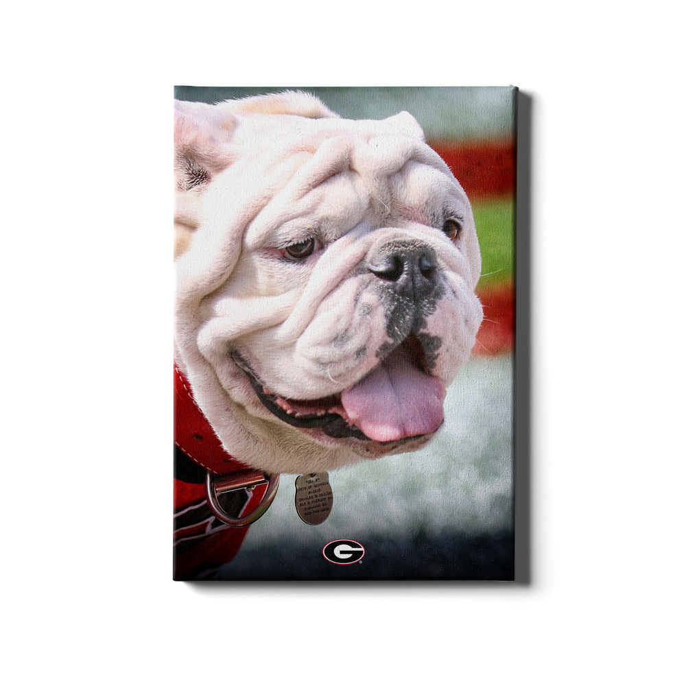 Georgia Bulldogs - Officially Licensed College Sports Canvas Wall Art ...