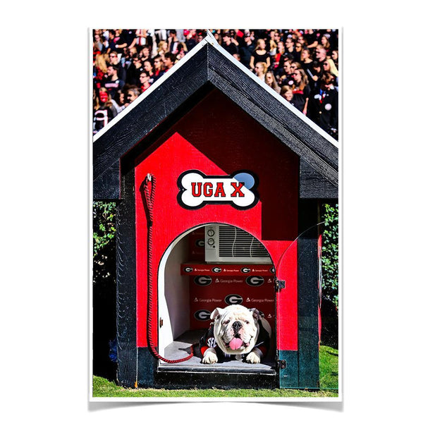 Georgia Bulldogs - Uga X in the House - Dawg Wall Art
