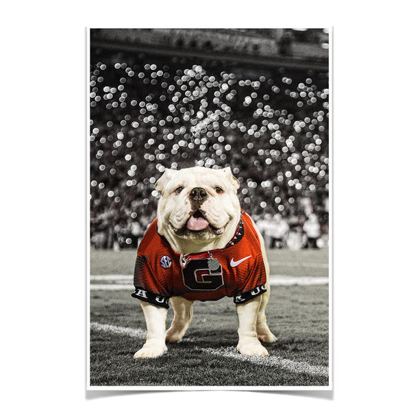 Georgia Bulldogs-Uga Under the Lights-College Wall Art - Dawg Wall Art